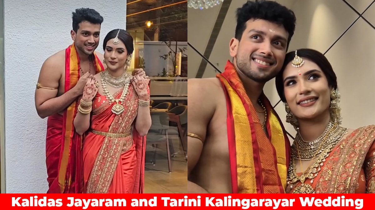 Kalidas Jayaram and Tarini Kalingarayar Wedding Photos